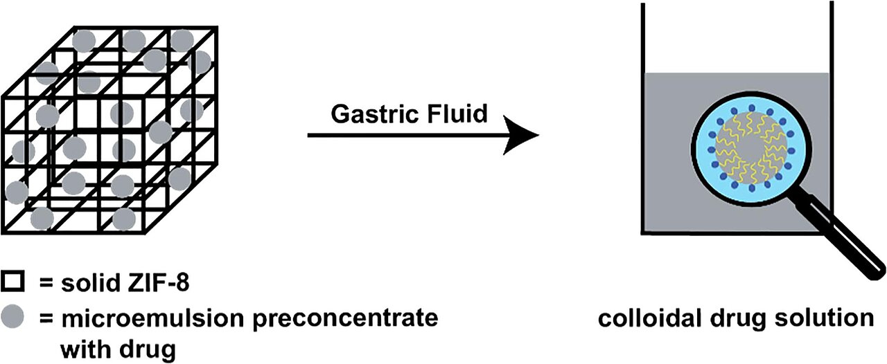 Solid microemulsion preconcentrates on pH responsive metal-organic ...